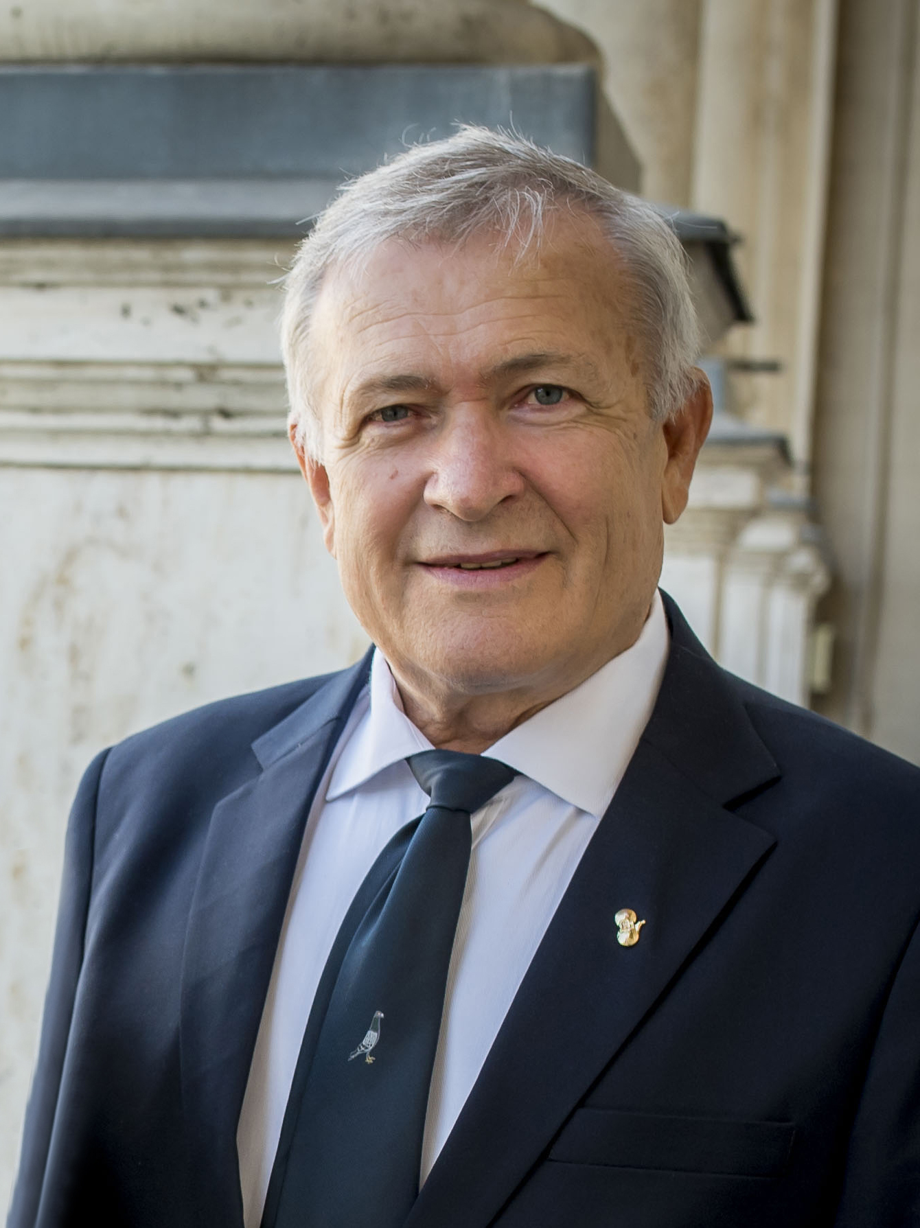 Program vezetője | Húsgalamb